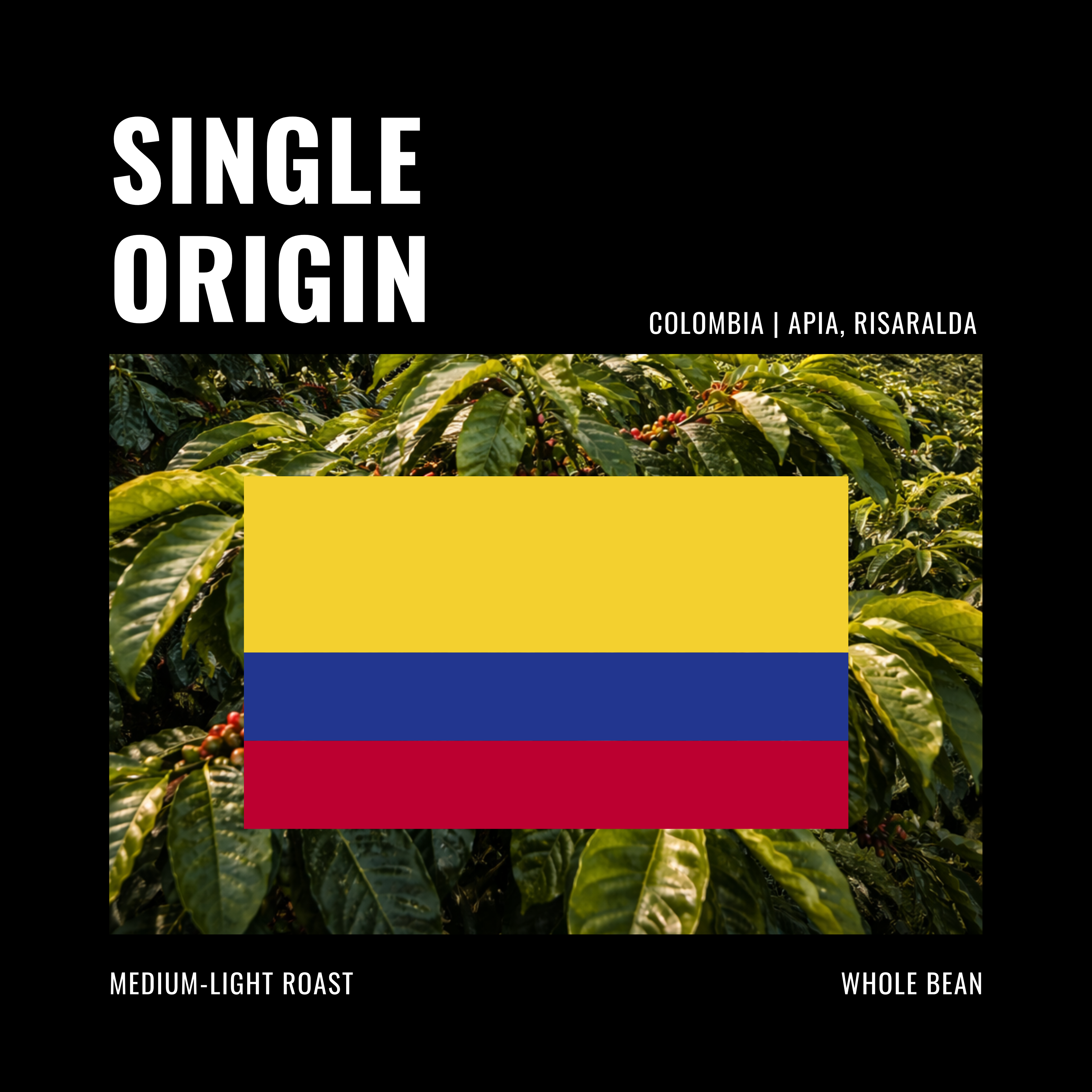 Single Origin Colombia – Moshico Coffee